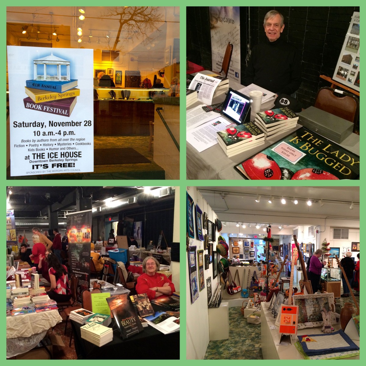 Ice House Book Fair 2015 | T.S. Scott Espionage Series
